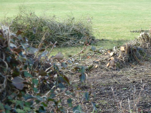 Hedgerow Destruction – Stanfree Valley Preservation Group